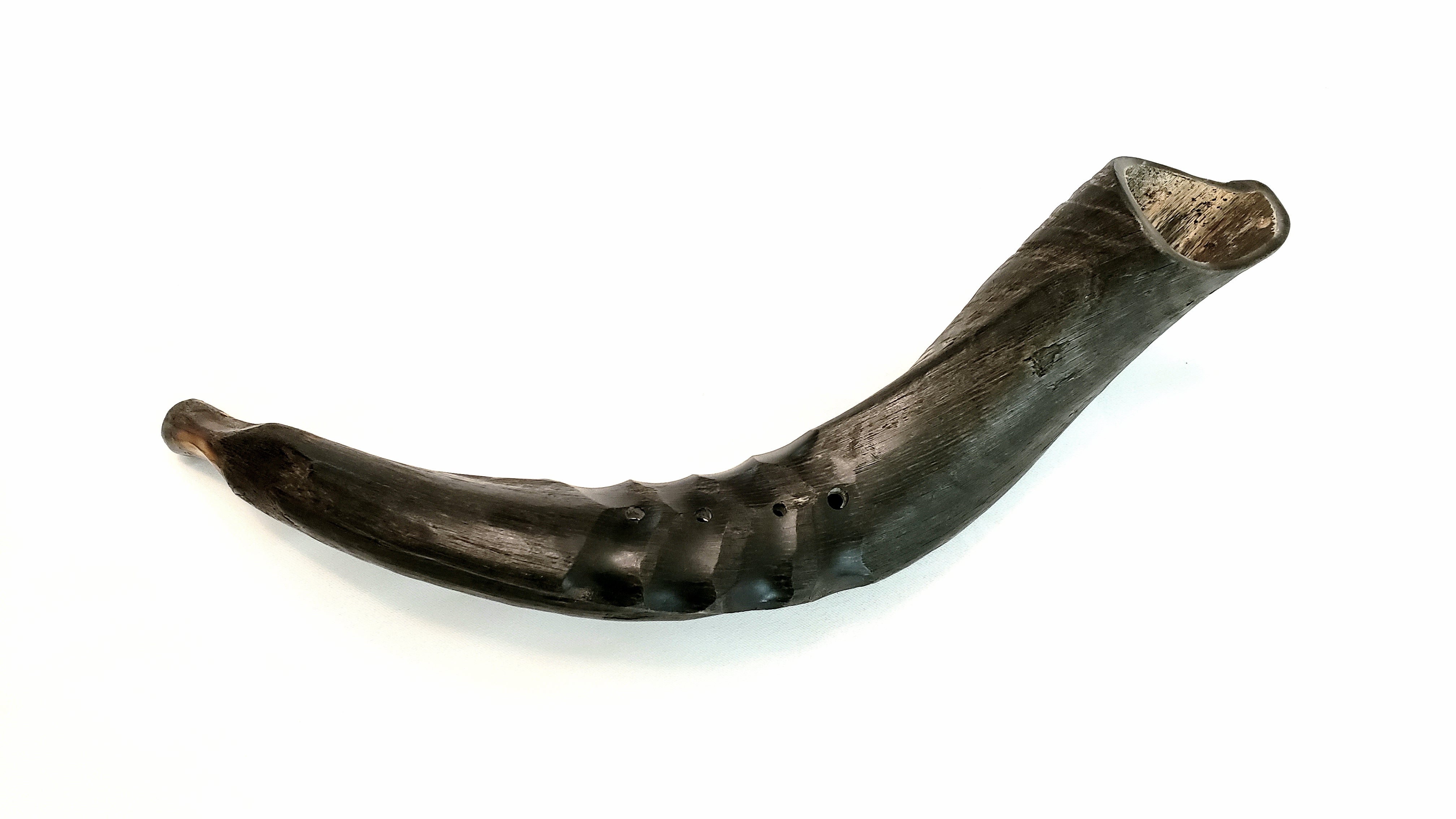 Bukkehorn- Deep Viking War Horn - Made in USA - Evergreen Instruments